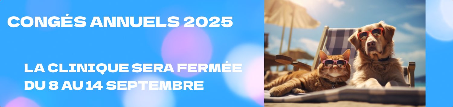 Congès annuels 2025